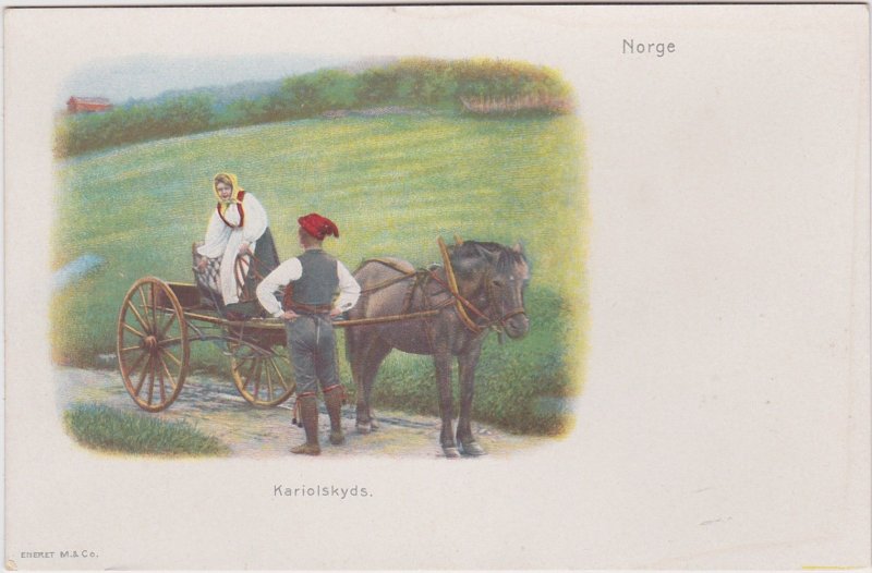 Woman and man in bunad with horse and karjol-Mittet ca 1910 | Europe ...
