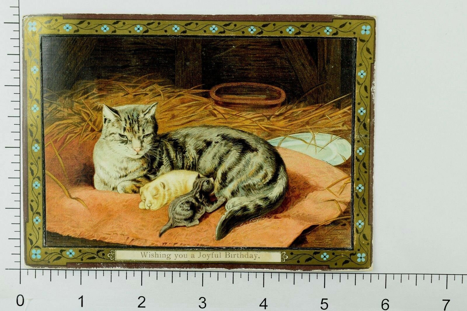 1880's-90's Birthday Card Lovely Cat With Kitten & Puppy Barn Scene &U ...