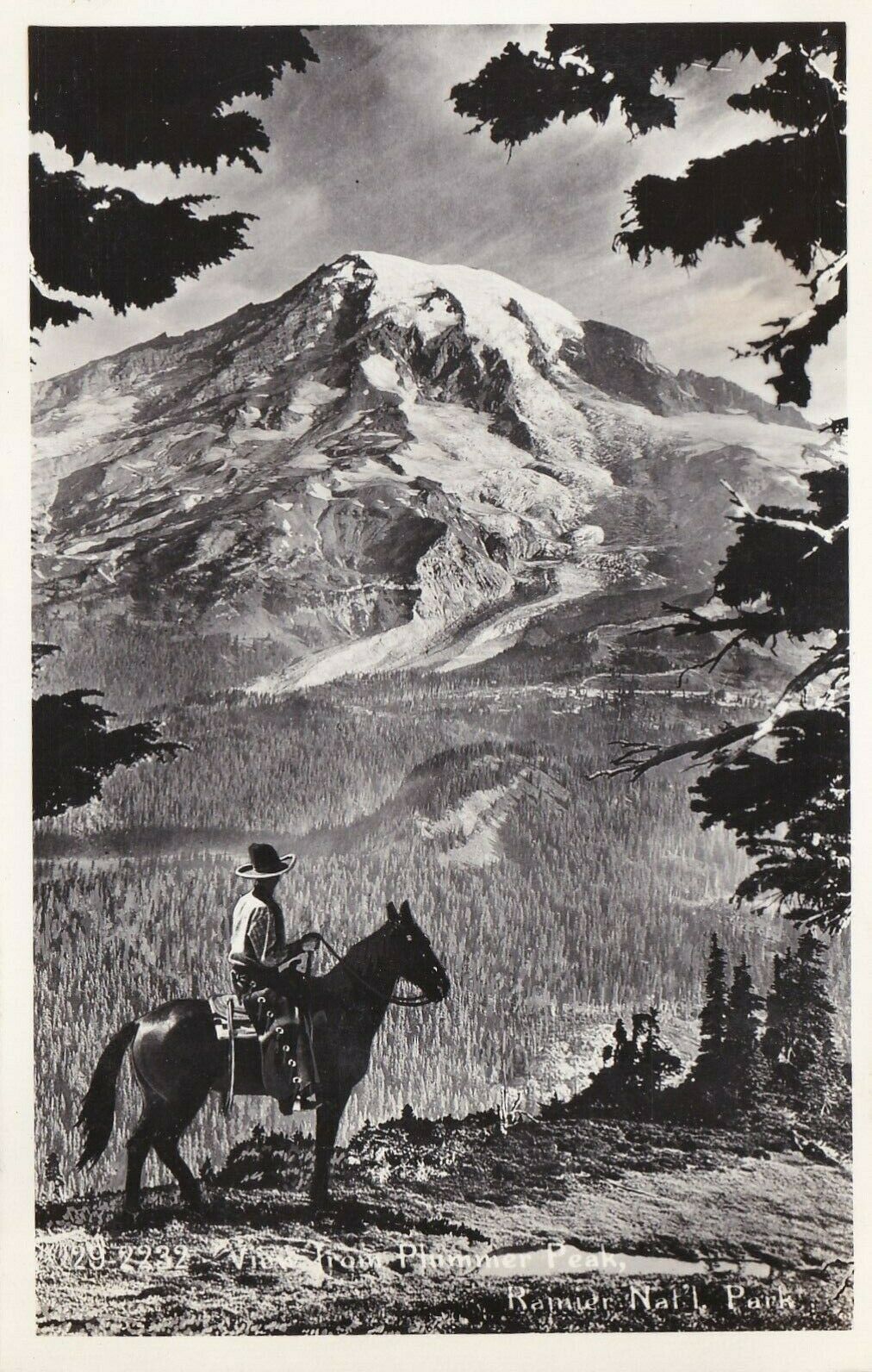 RPPC Mount Rainier National Park - View From Plummer Peak - Man on ...