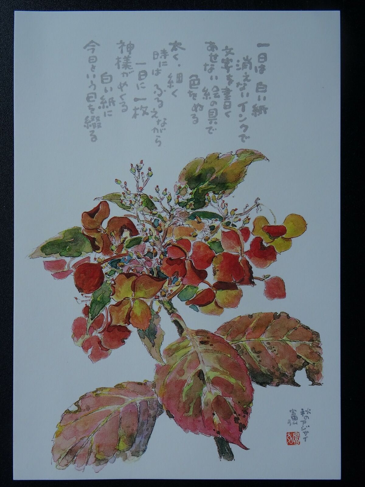 AUTUMN HYDRANGEA Paintings Poems by Japanese Disabled Artist Tomihiro ...