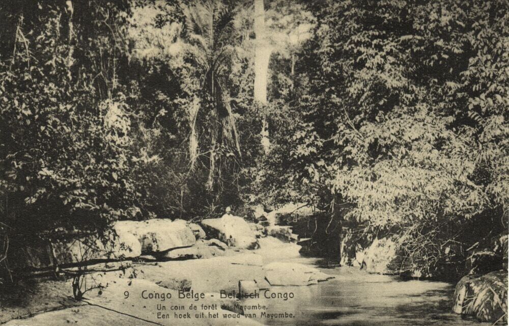 belgian congo, MAYOMBE MAYUMBE, Forest Scene (1920s) Postcard (09 ...