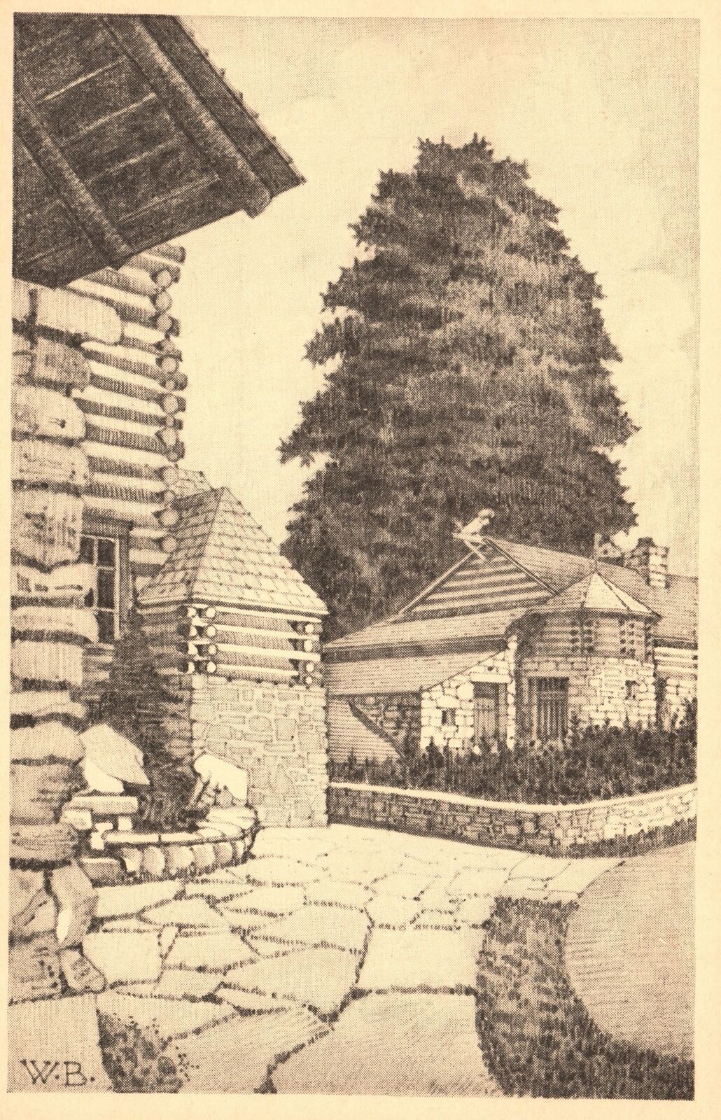 Vintage Postcard Scandinavian Peasant Craft Pine Tree View Ephraim Door ...