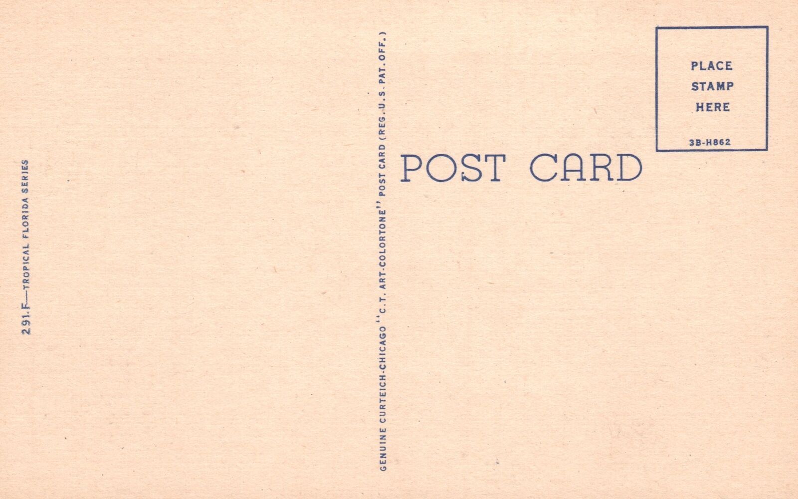 Vintage Postcard Cloudy Evening Shadows Palm Trees River in Florida FL ...