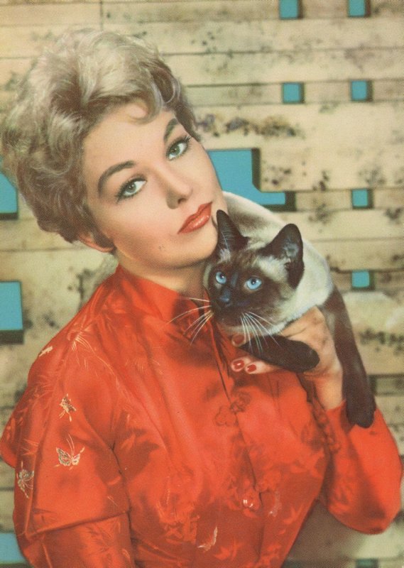 Kim Novak & Siamese Cat Film Actress Chinese Dress Rare Postcard ...