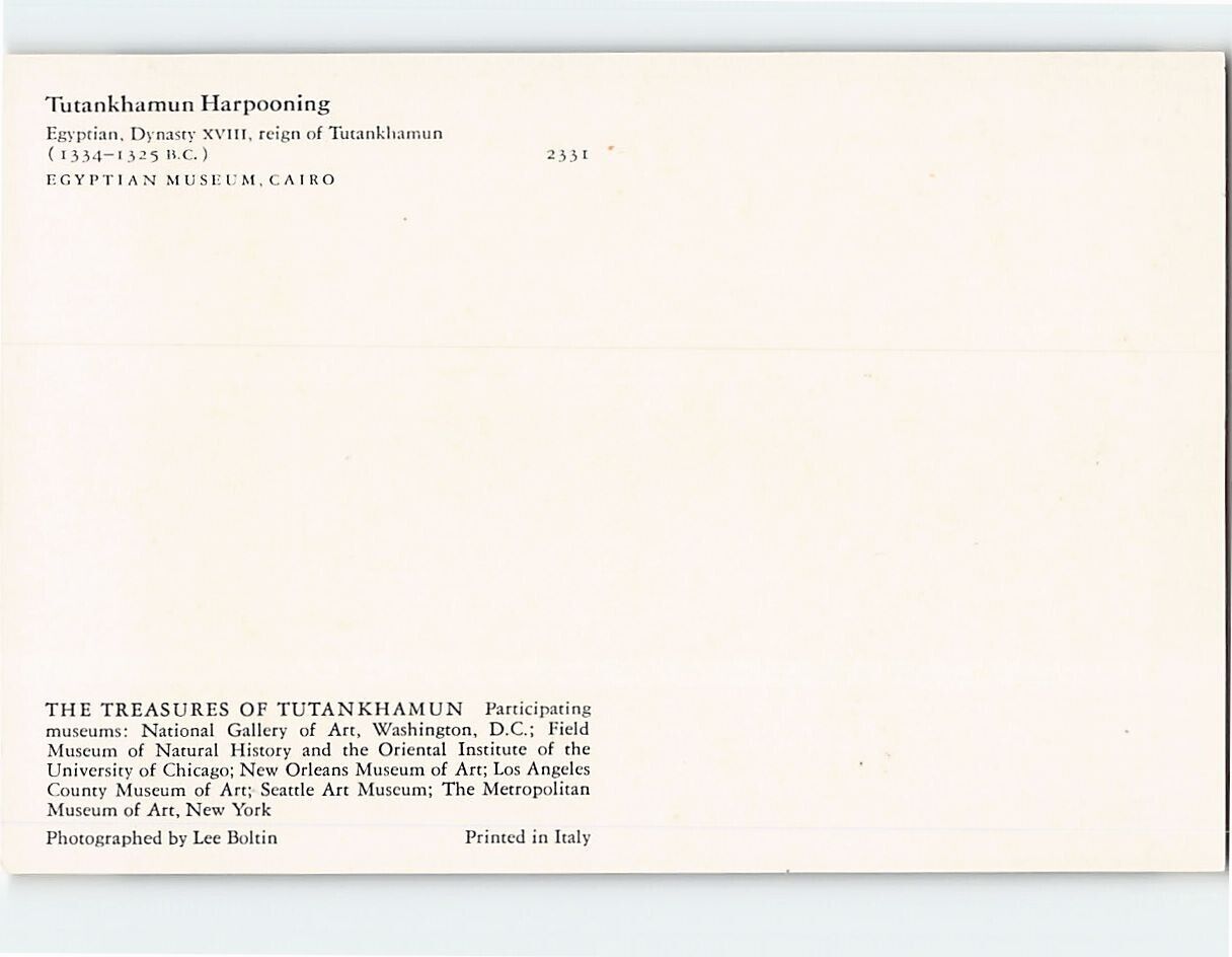 Postcard Tutankhamun Harpooning, Egyptian Museum, Cairo, Egypt | Africa ...