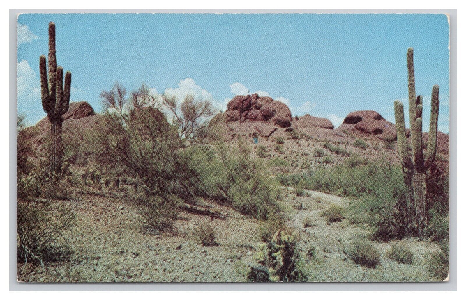 Phoenix Arizona Natural Rock Formations Papago Park Postcard | United ...