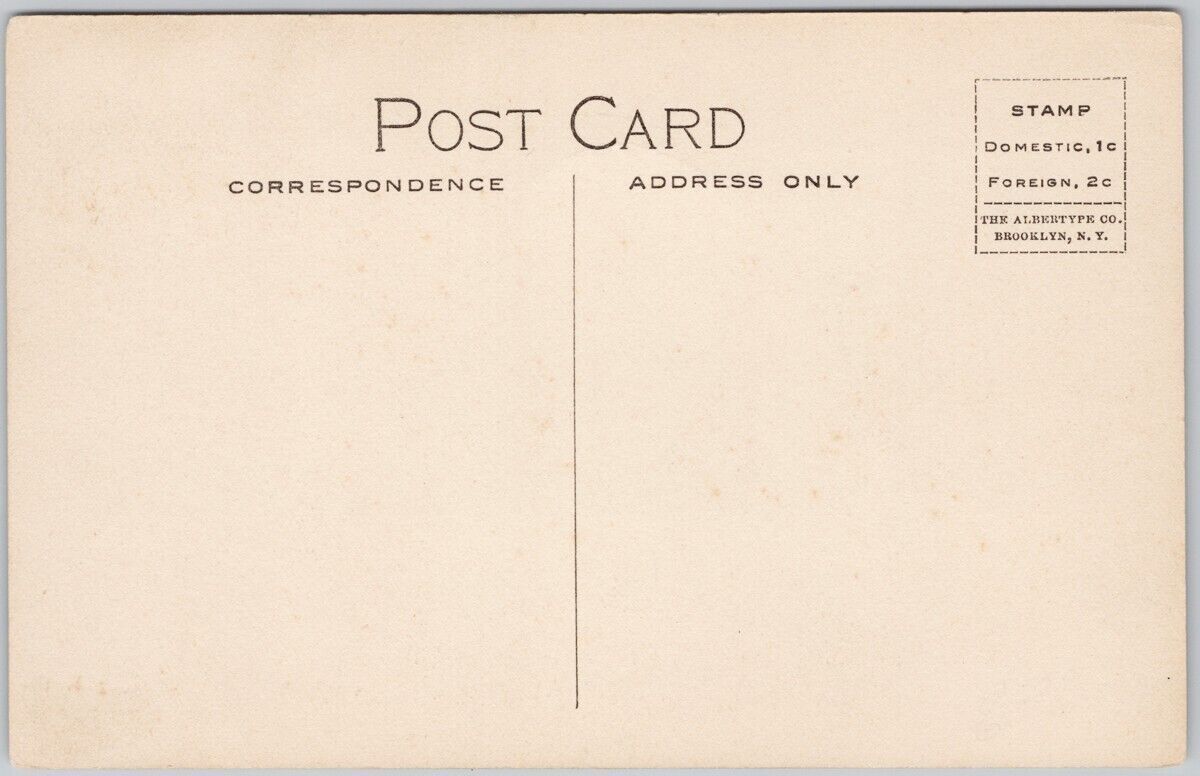 Kelowna BC Girls Holding Hands Bernard Avenue 1910 G.H.E. Hudson ...