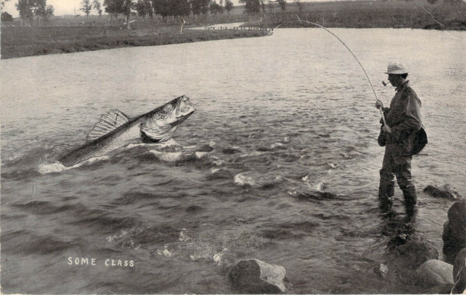 "Some Class" Giant Fish Exaggeration Unused Vintage Postcard Fishing ...