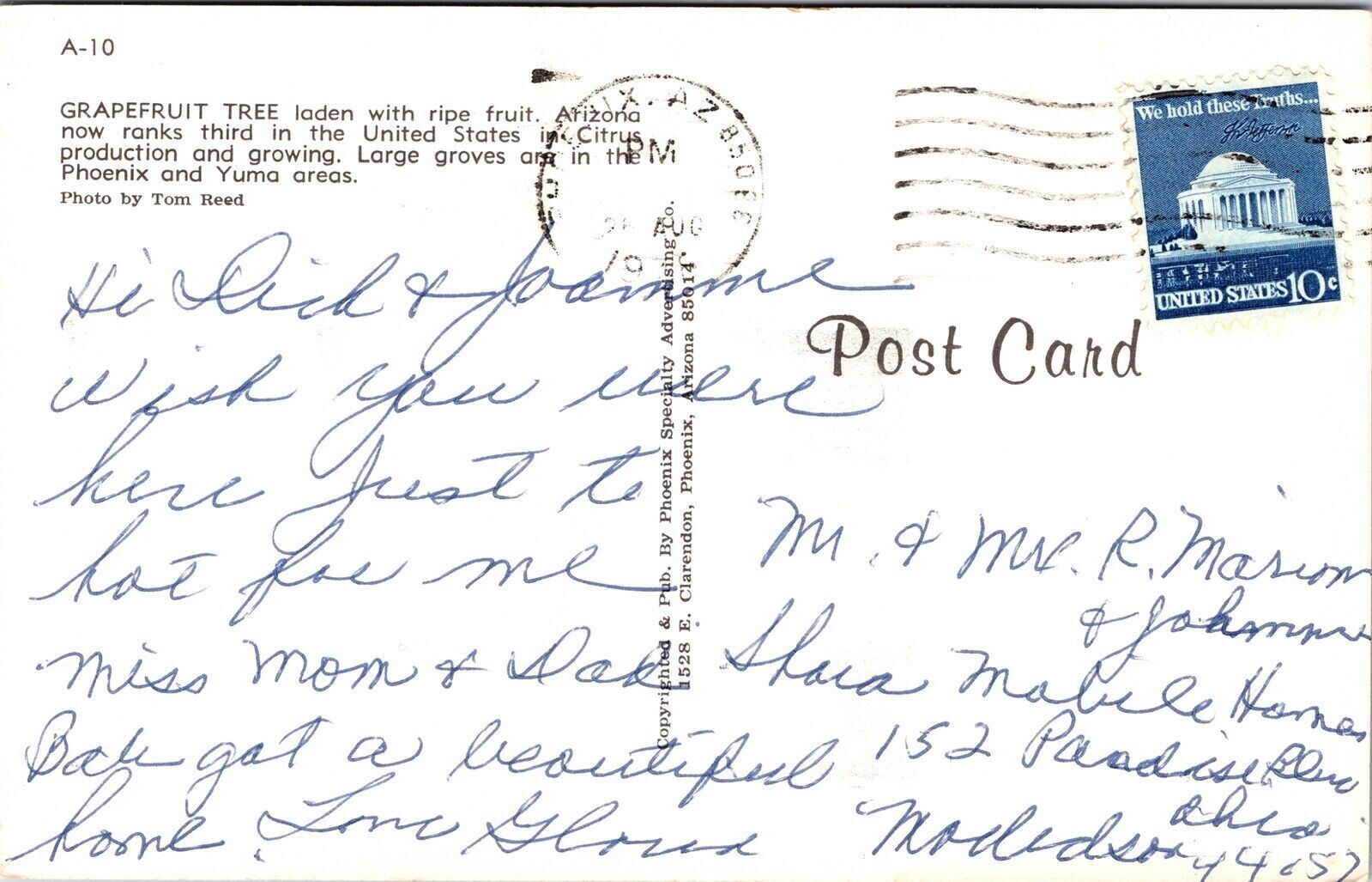 Close View Grapefruit Trees Fresh Right Fruit Phoenix Arizona Postcard ...