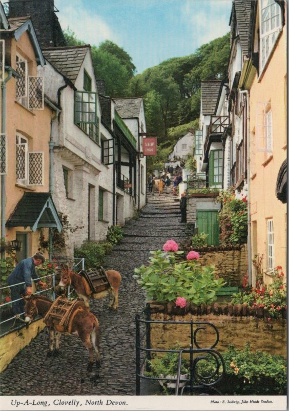 Devon Postcard - Donkeys, Up-A-Long, Clovelly, North Devon RR16629 ...