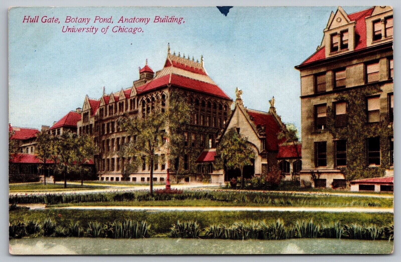 Hull Gate Botany Pond Anatomy Building University Of Chicago Postcard ...