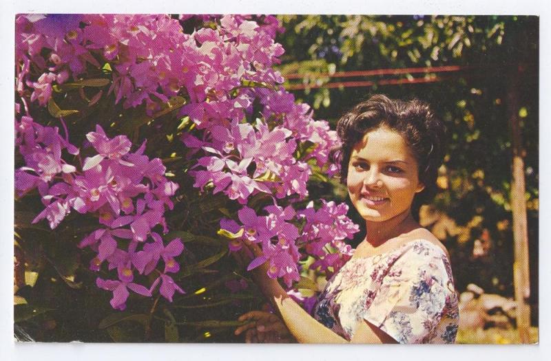 What Is The National Flower Of Costa Rica | Best Flower Site