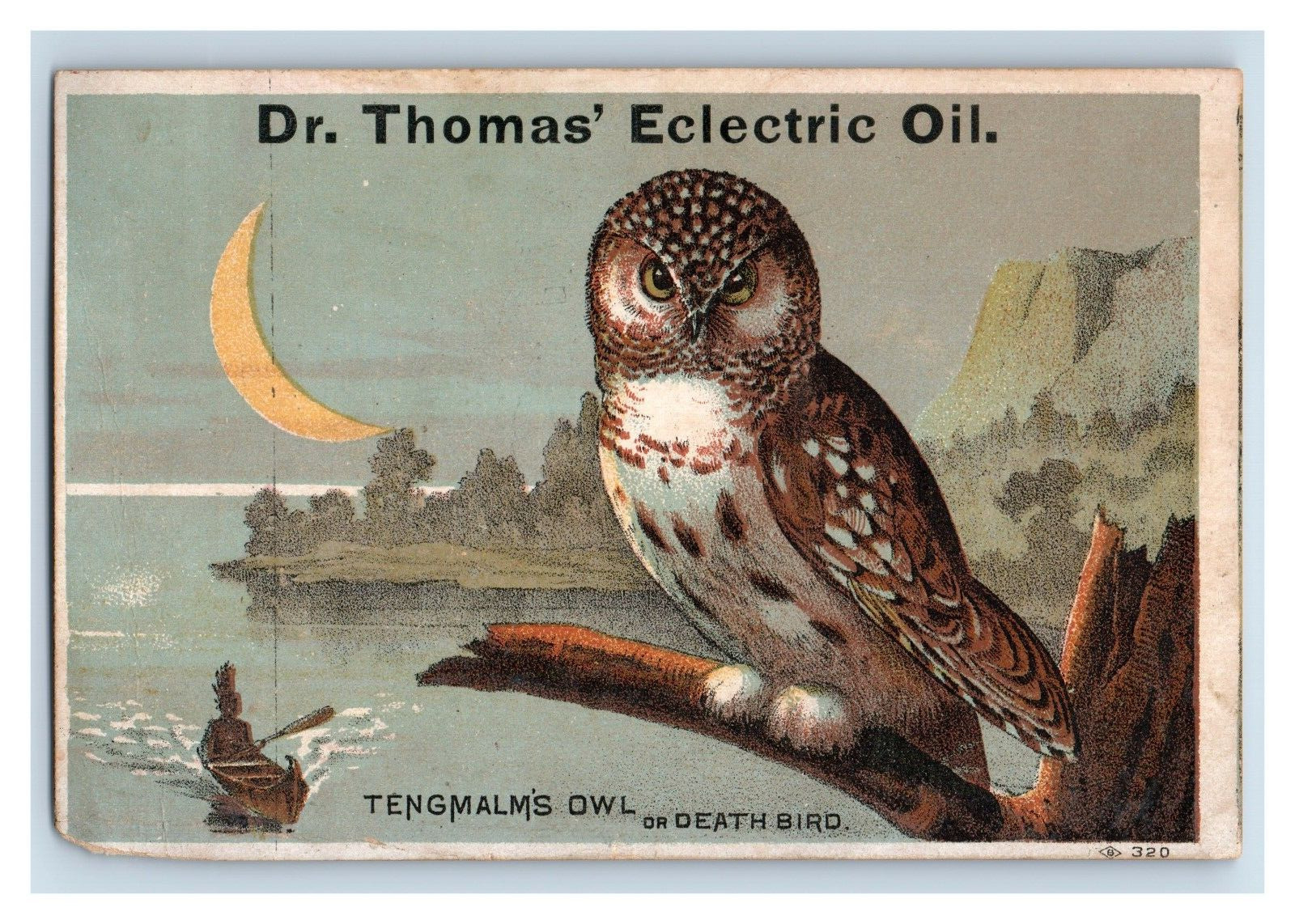 1880s Dr. Thomas' Eclectric Oil Time List On Back Tengmalm's Owl Moon ...