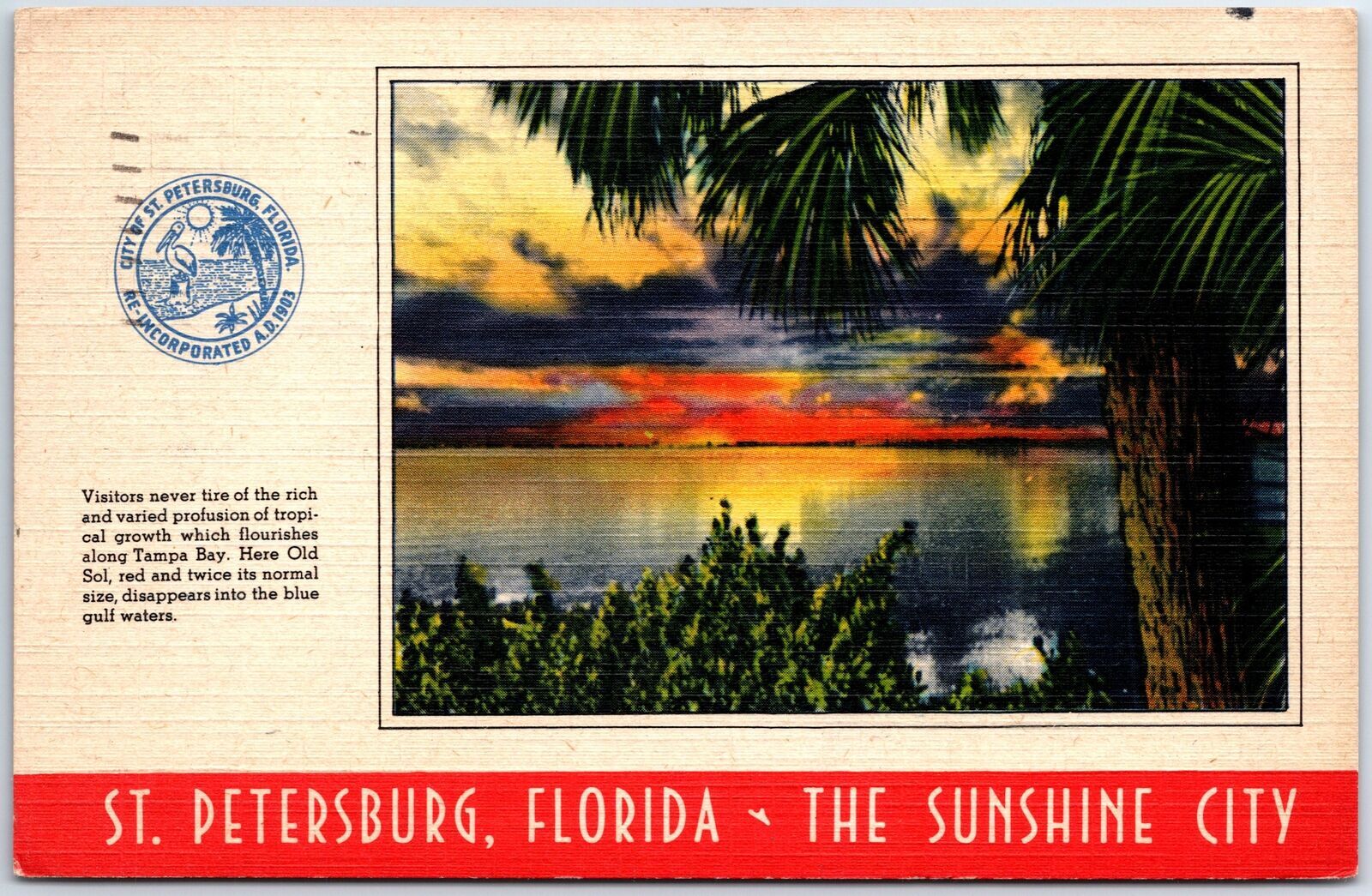 Vintage Postcard Tropical Growth OLD SOL in the Blue Waters of ST ...