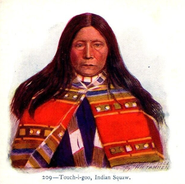 Native American Indian Postcard - Touch-i-Goo - Indian Squaw Embossed ...