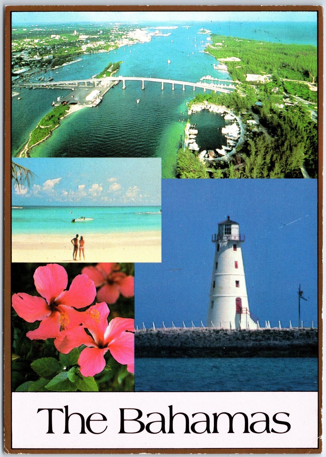 Vintage Continental Size Postcard the OUT Island of the Bahamas Bird ...