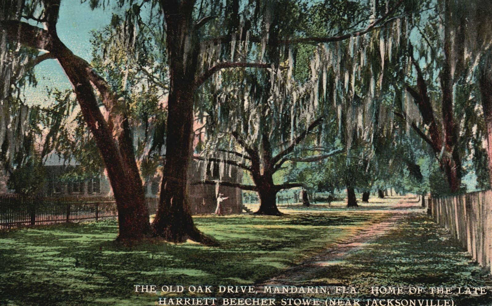 ?Vintage Postcard 1910's View of The Old Oak Drive Mandarin Florida FL ...