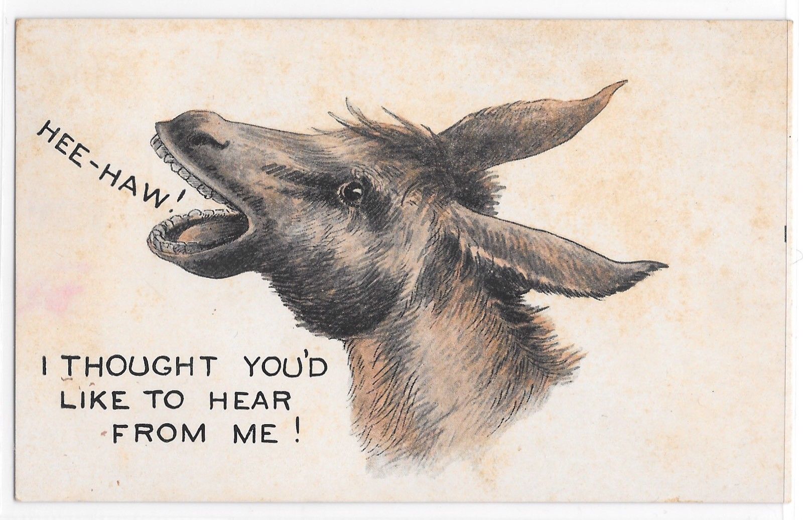 Vintage Comic Postcard Hee-Haw! Donkey Drawing Series 16 Subjects Hear ...