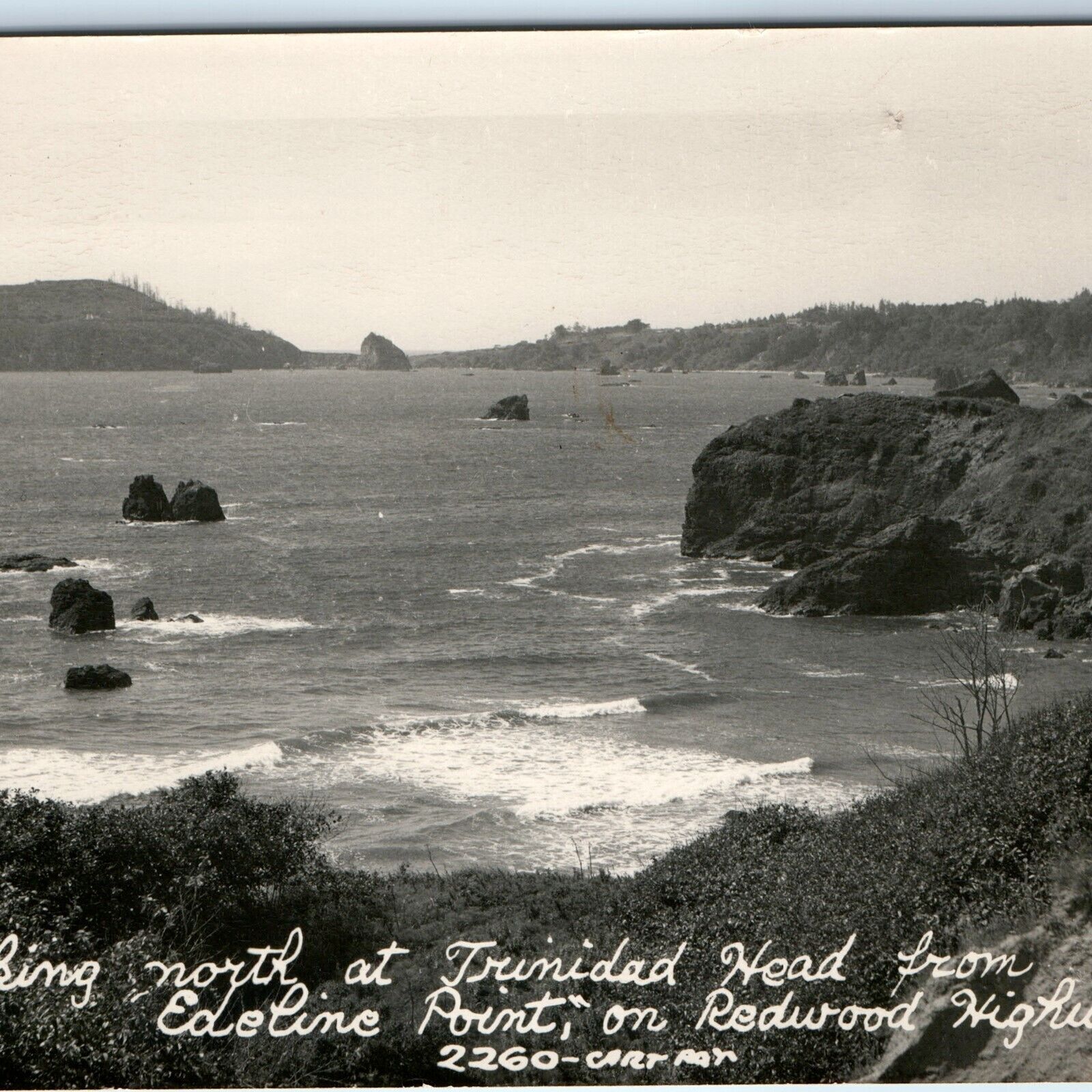 1940s California RPPC Redwood Hwy Edeline Point Trinidad Head Real ...