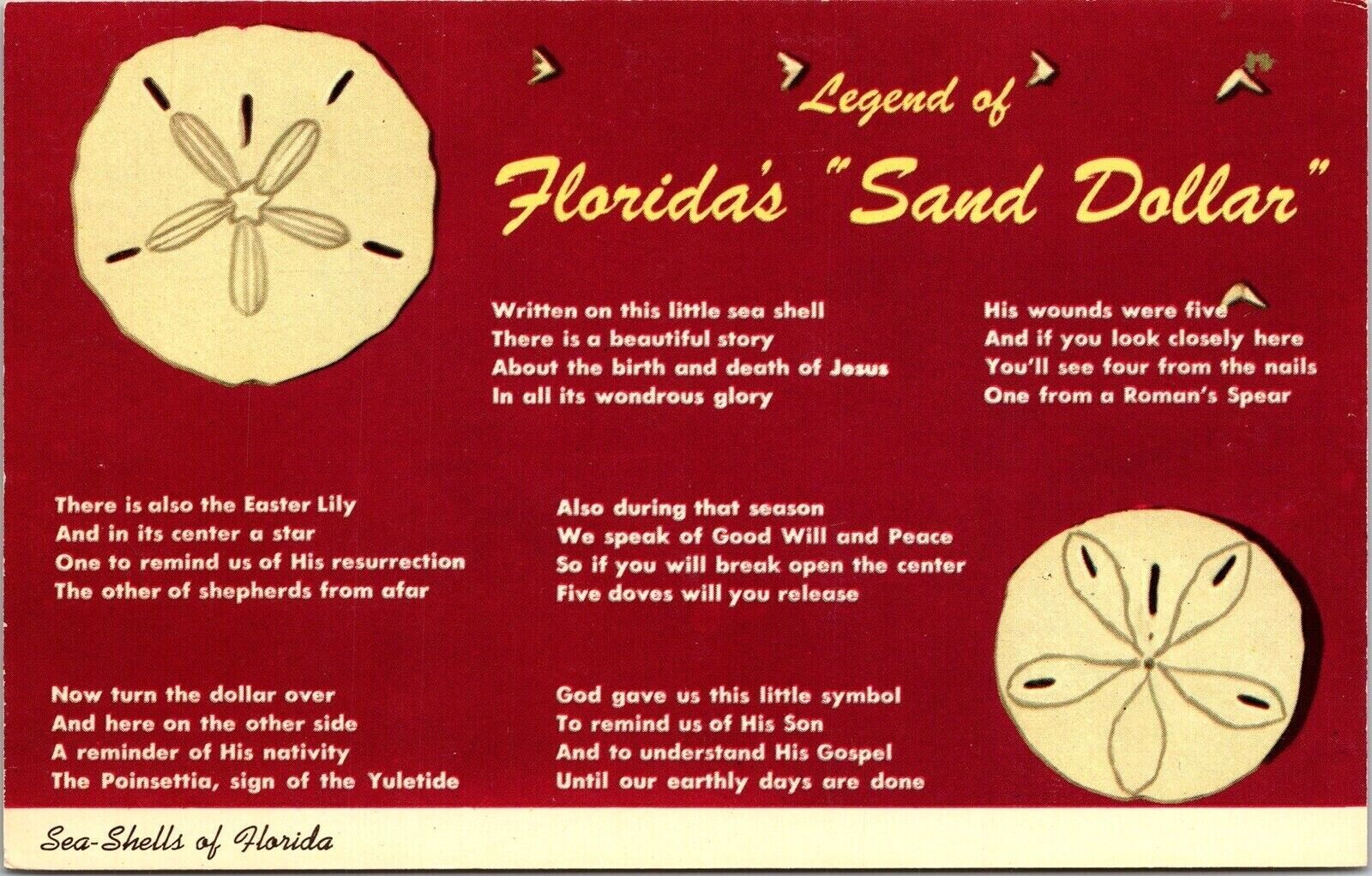 Legend Of Floridas Sand Dollars Poem Chrome Curteichcolor Postcard ...