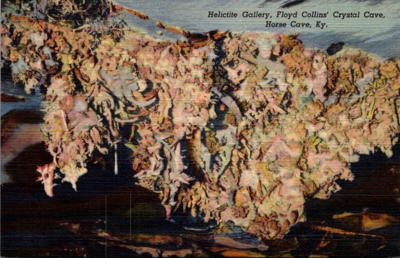 Kentucky Horse Cave Floyd Collins' Crystal Cave Helictite Gallery ...