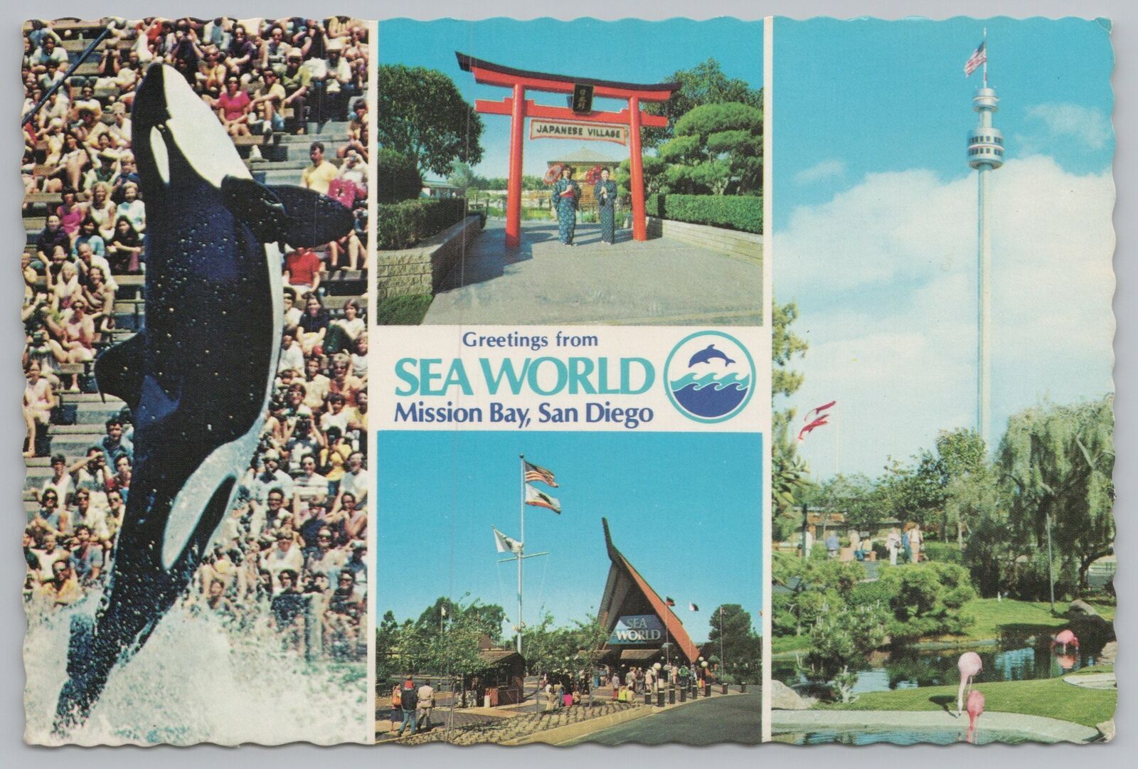Amusement Park & Circus~Seaworld~Mission Bay Sand Diego CA~Continental ...