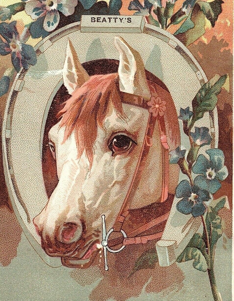 Engraved Beatty's Organs & Pianos Beethoven Organ Horse Victorian Trade ...