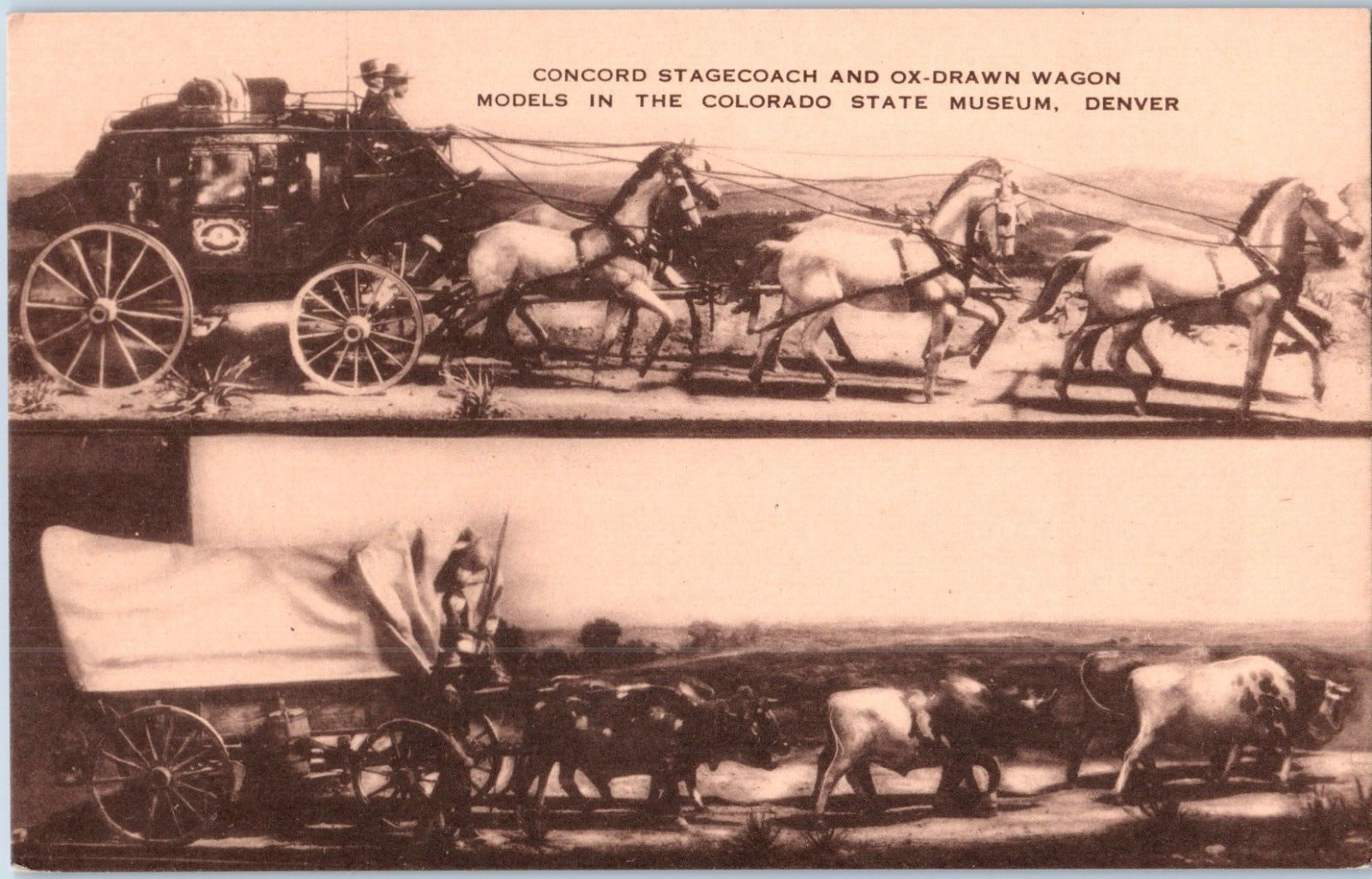 Concord Stagecoach and Ox Drawn Wagon Models at State Museum Colorado ...