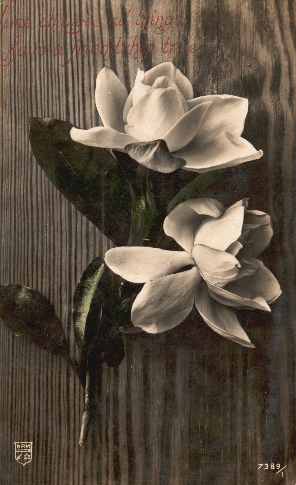 Vintage Postcard Time Changes All Things Save A True Friendship Flowers ...