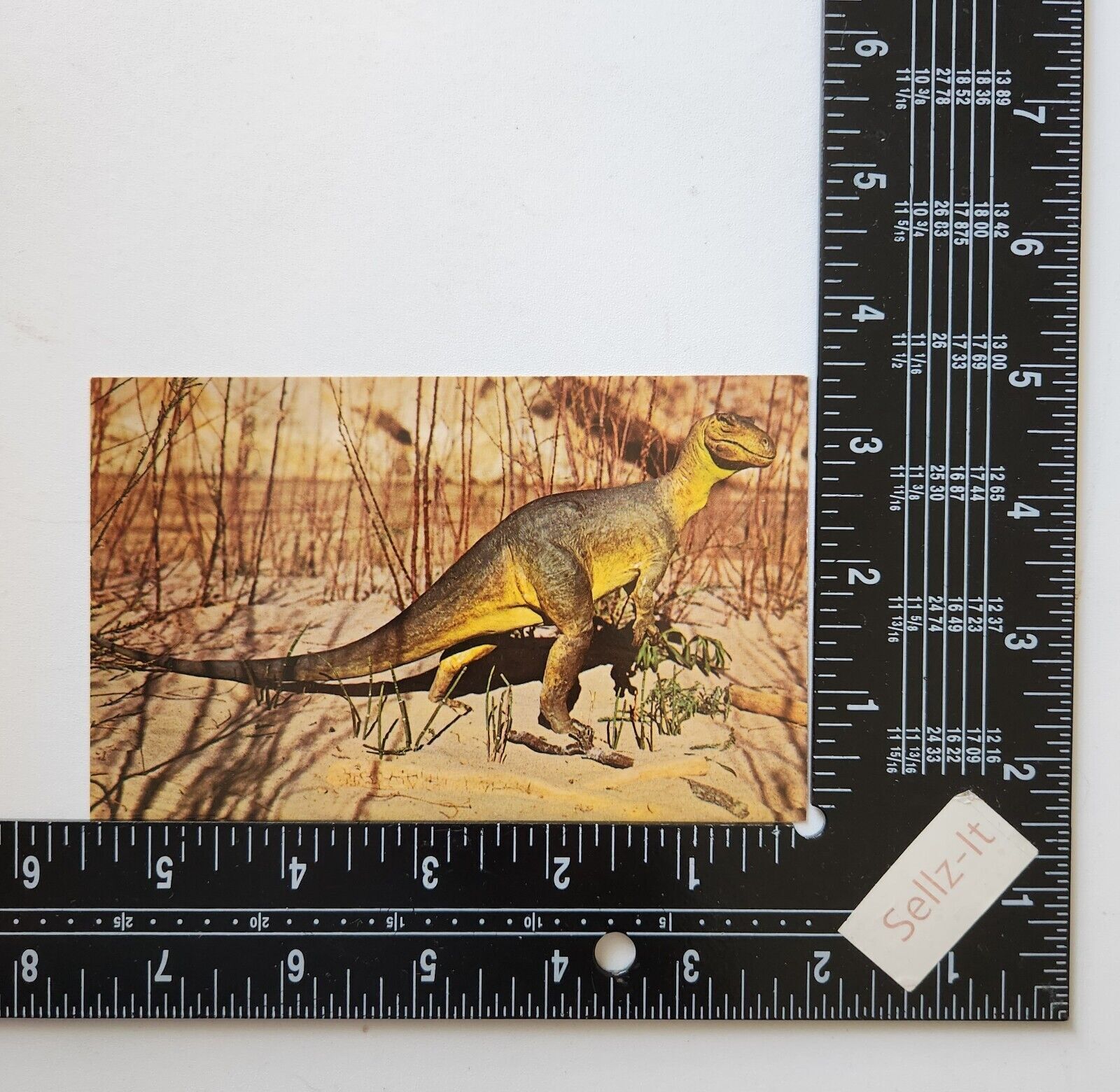 Antrodemus Dinosaur Model Artist Charles R. Knight Dinosaur Quarry CO ...