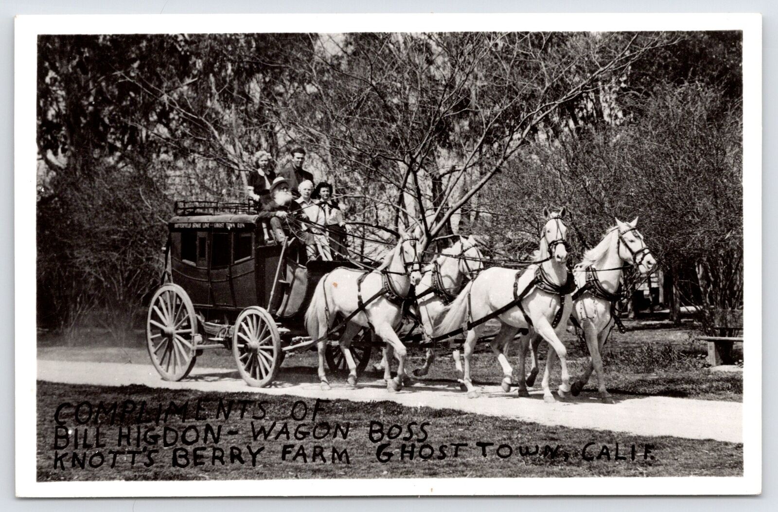 Knotts Berry Farm CA Ghost Town: Higdon Four-Horse Wagon~Stage Coach ...