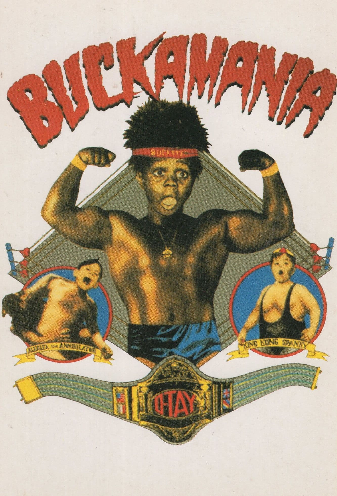 African American Crazy Boxing Wrestler Buckwheat Comic Postcard ...