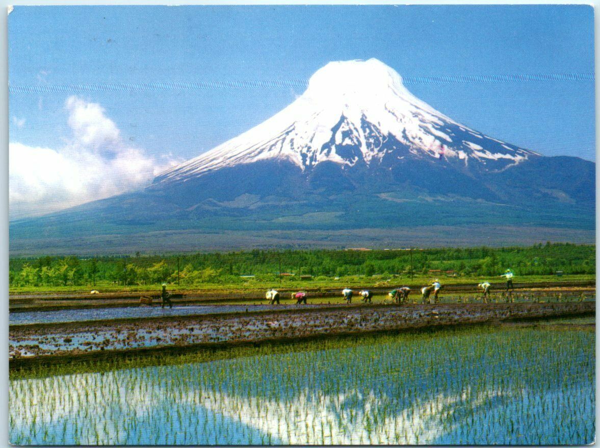 Postcard - Rice planting and Mount Fuji, Japan | Asia & Middle East ...