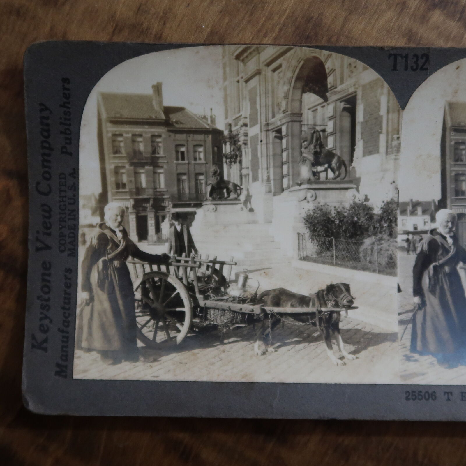 1880s Dog Cart Streets of Brussels Belgium Working Lady Stereoview ...