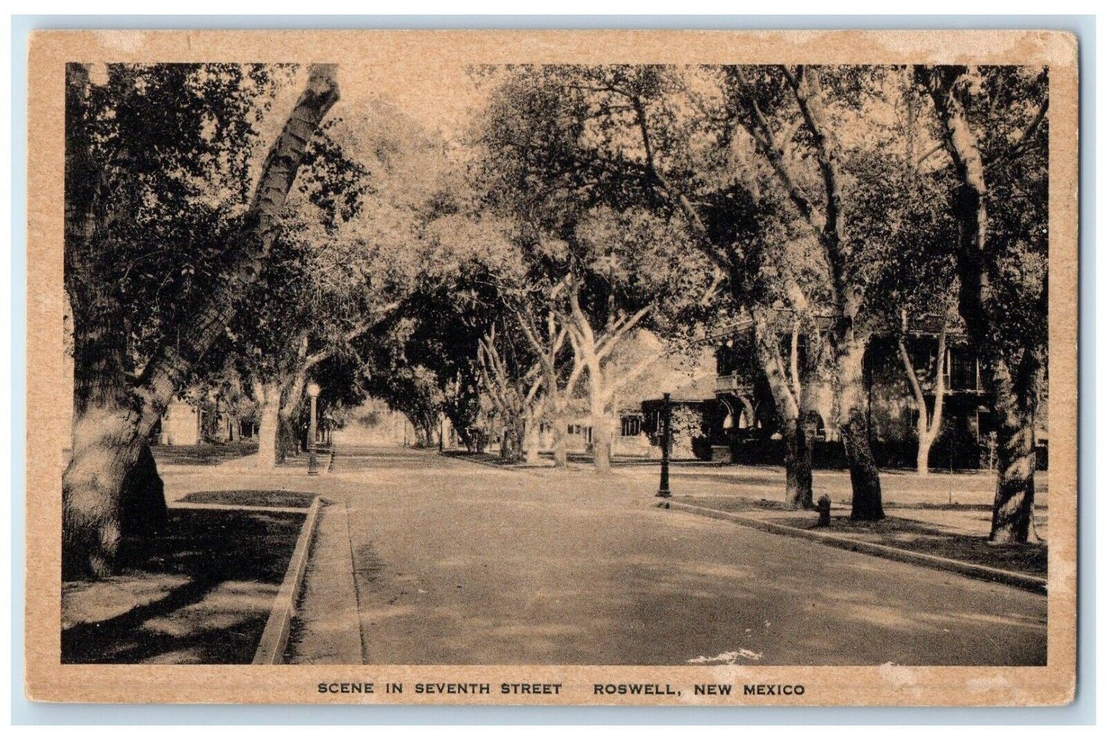 1940 Scene Seventh Street Road Trees Roswell New Mexico Vintage Antique ...