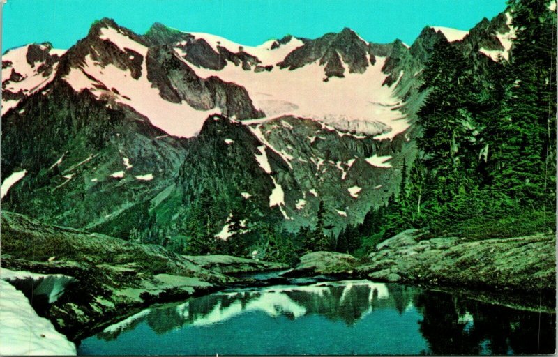 Vtg Chrome Postcard Mt Olympus And Humes Glacier From Queets Basin UNP ...