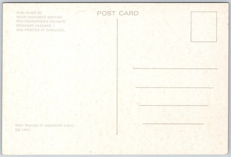 Dalgate Srinagar Kashmir India Dal Lake India Continental Postcard ...