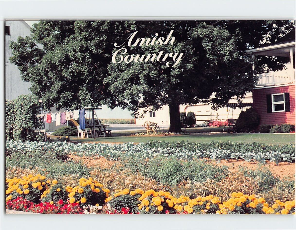 Postcard Large Garden of an Amish Family Amish Country Scene | Other ...