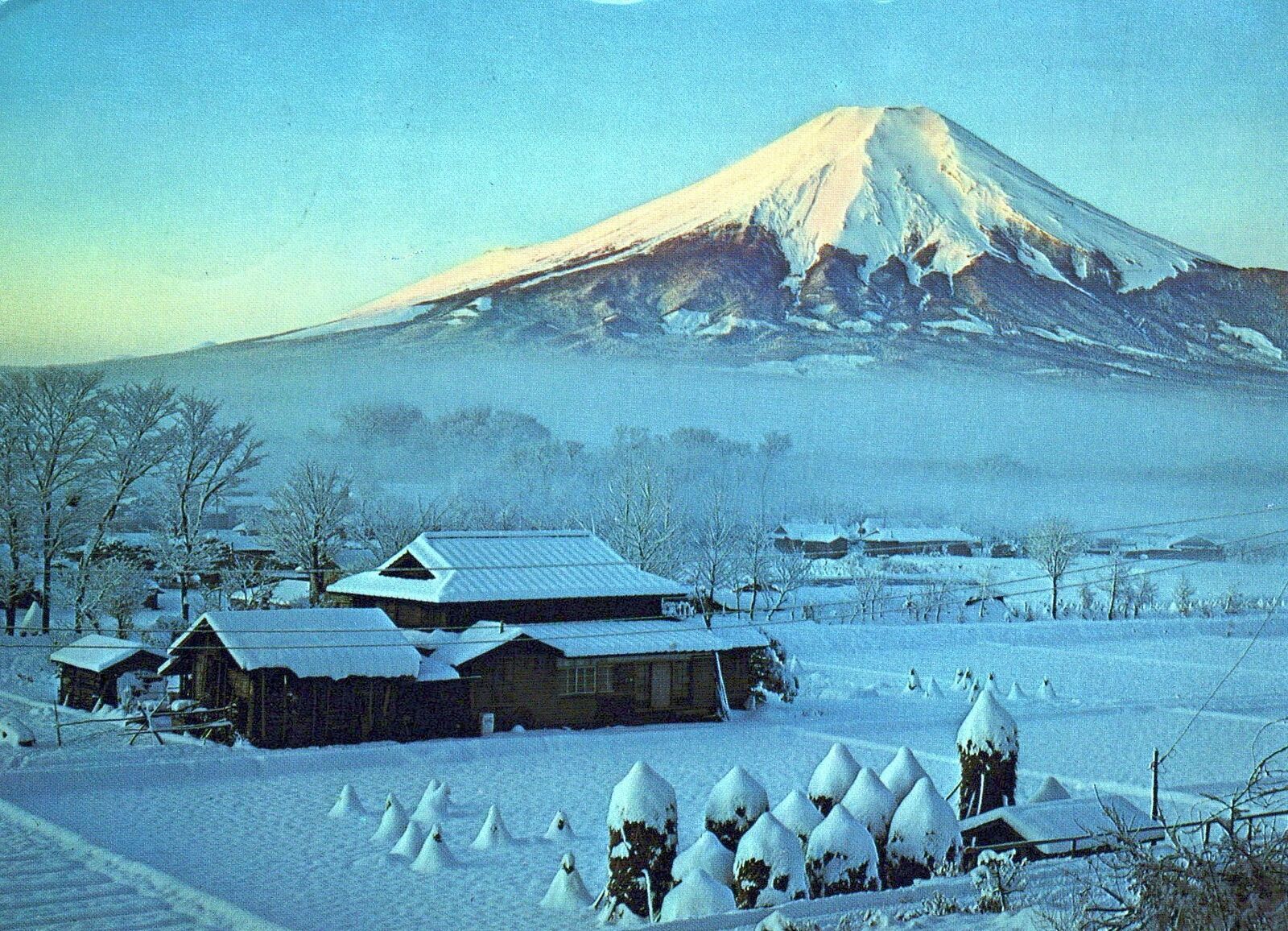 Vintage Continental Size Postcard Winter in the Foothills of Mount Fuji ...