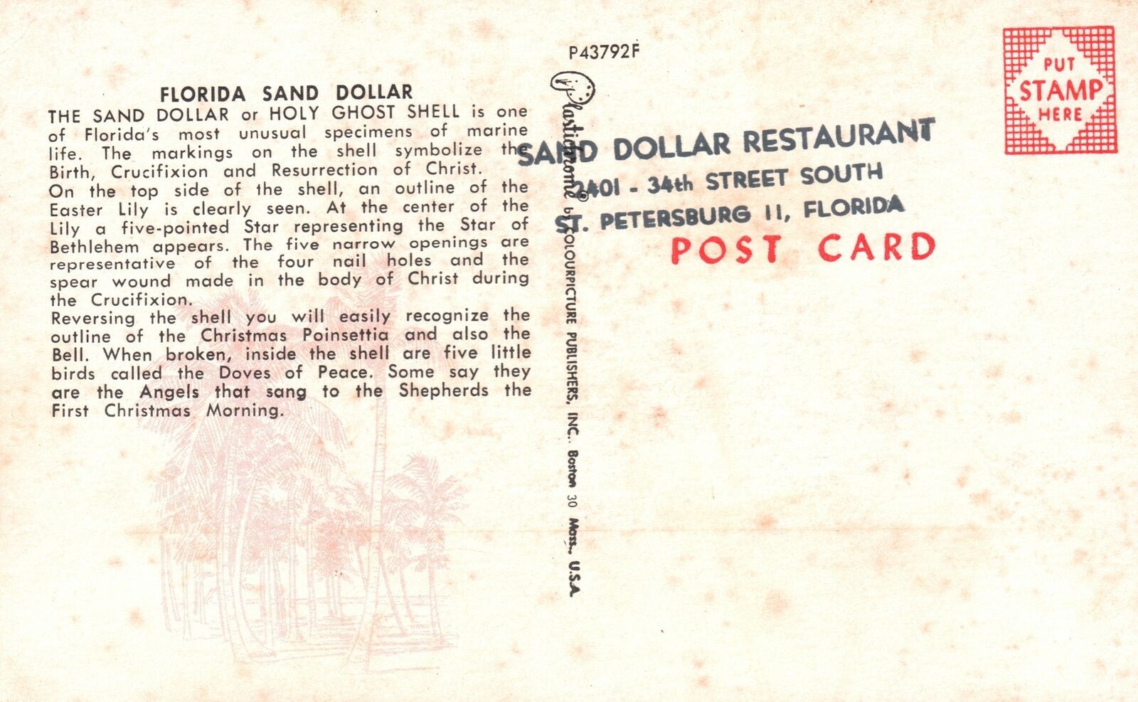 Vintage Postcard View of The Sand Dollar Holy Ghost Shell on the ...