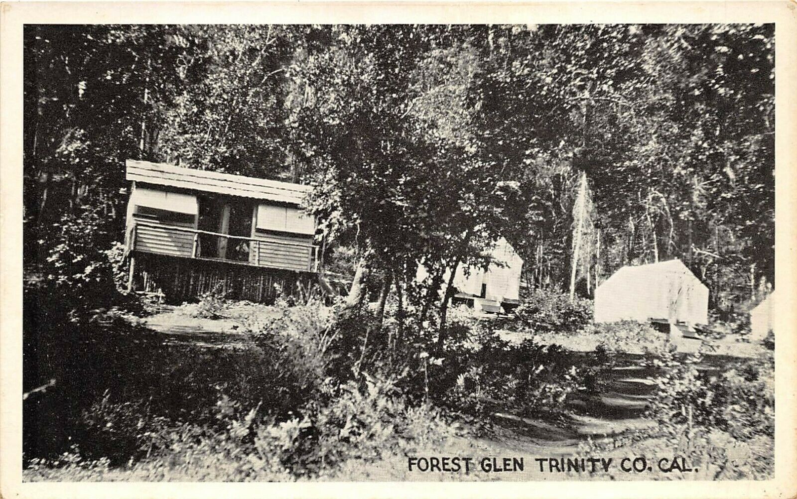 Trinity Co California 1940s Postcard Forest Glen Cabins | United States ...