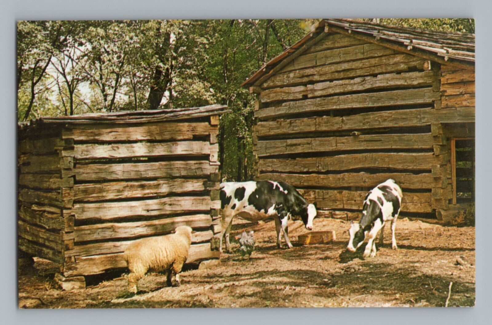 Lincolns Cows Sheep Heritage Trail Lincoln City Indiana Vintage ...