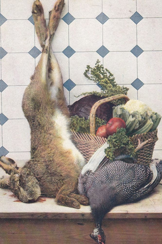 Butcher ed Rabbit Bird Fox Hunting Antique Corpse 1910 Postcard ...