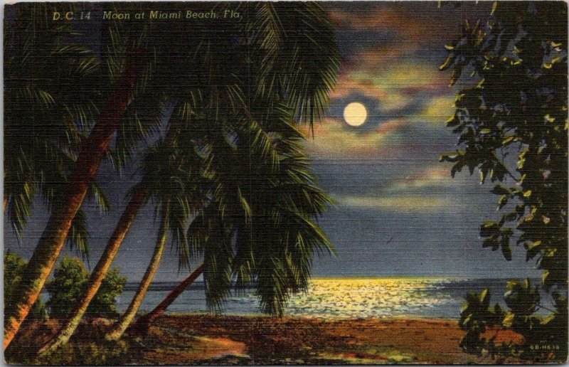 Florida Miami Beach Moon Over The Ocean 1942 Curteich | United States ...