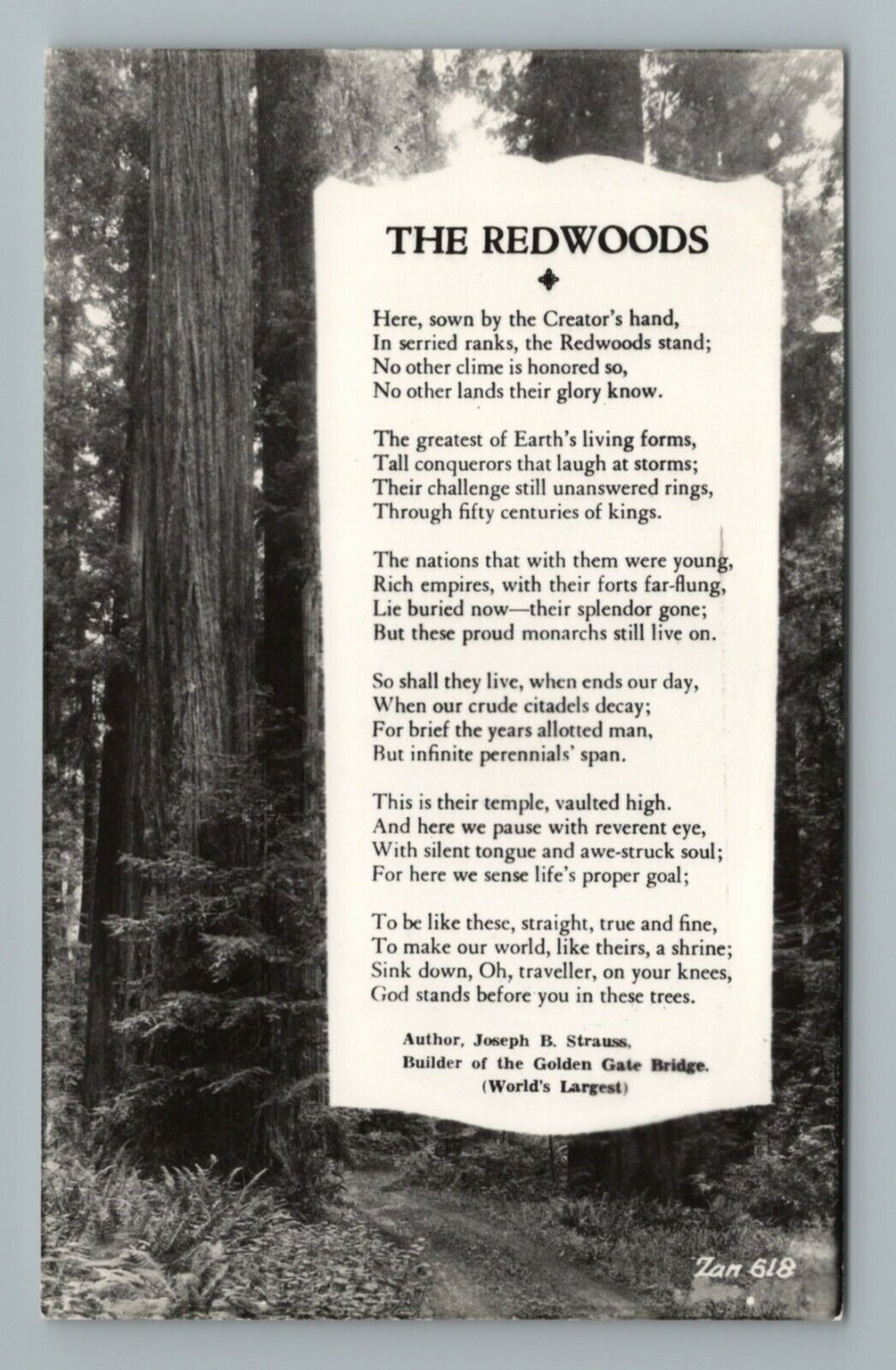 The Redwoods Poem Strauss Real Photo RPPC Vintage Postcard | Other ...