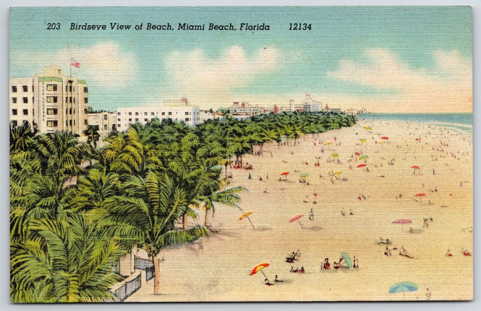 Miami Beach Florida FL Beach Bird's Eye View Palm Trees Attractions ...