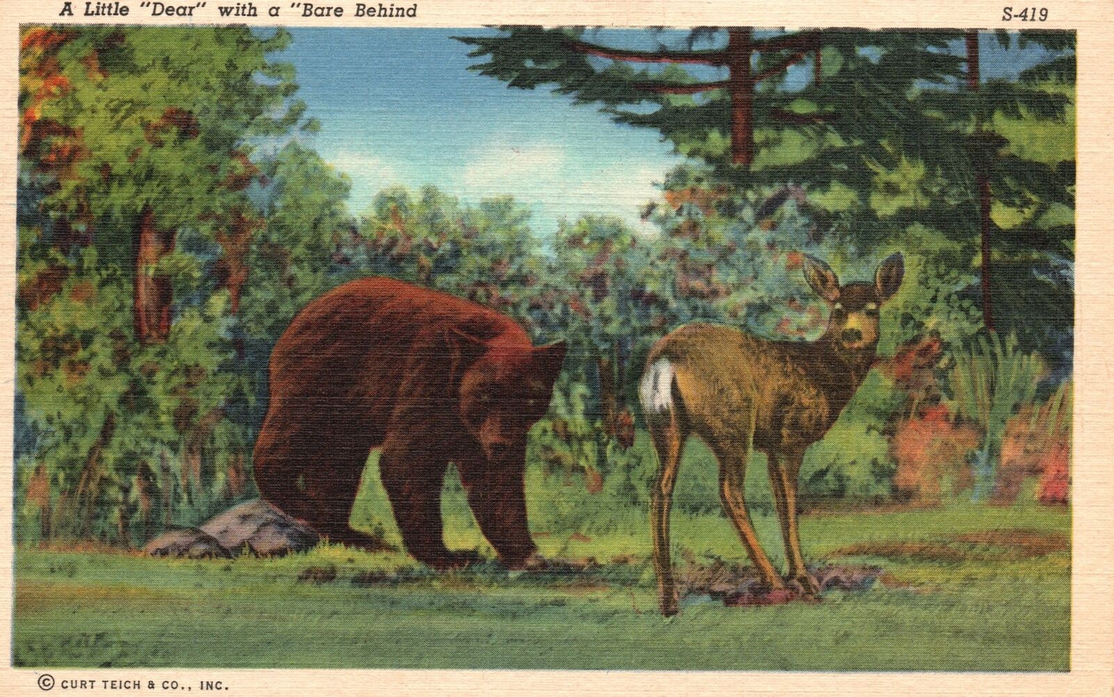 Vintage Postcard 1920's View of Bear & Deer A Little Dear With A Bare ...