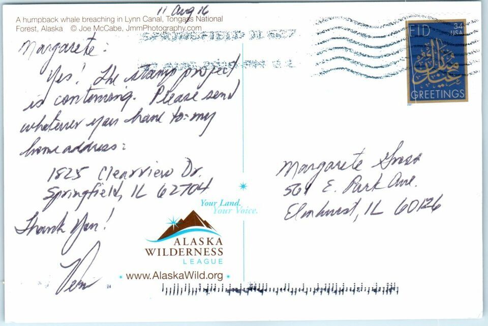 M-14376 A humpback whale breaching in Lynn Canal Tongass National ...