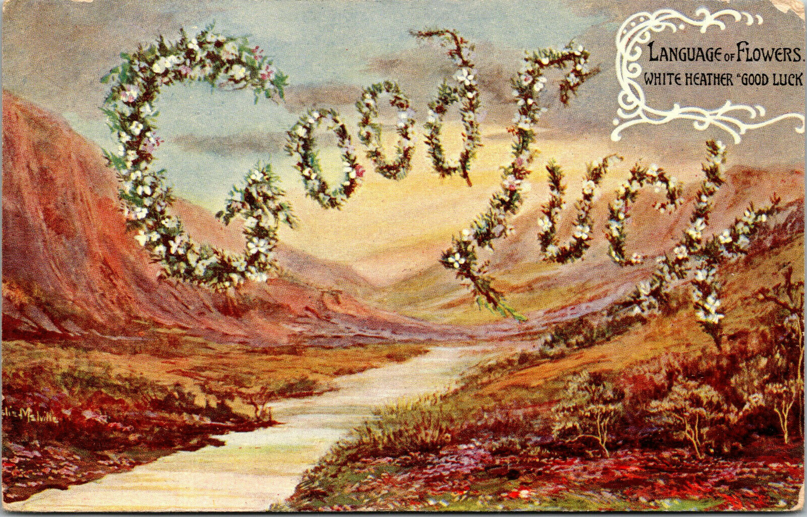 Vtg 1908 Language of Flowers White Heather Good Luck Antique Postcard ...