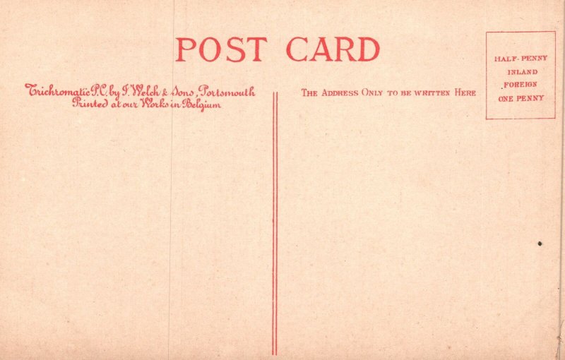Vintage Postcard 1910's South Walk Barnstaple Devon England UK | Europe ...
